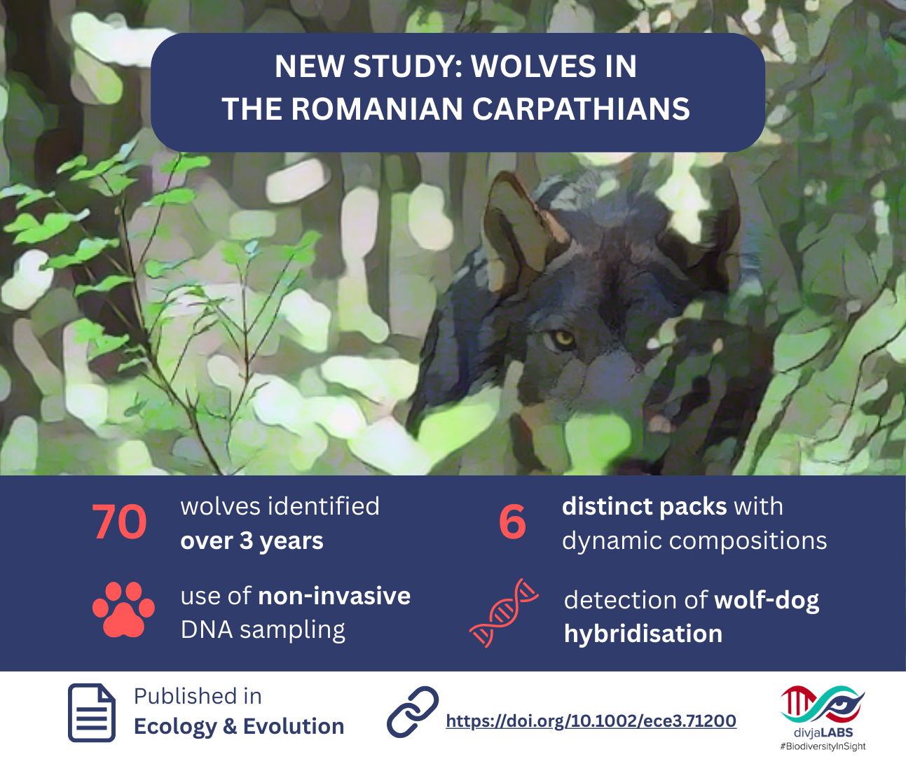 How non-invasive genetics and collaboration are shaping the future of ...